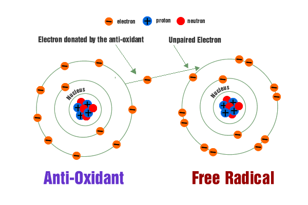 Oxidants; Oxidizing Agents